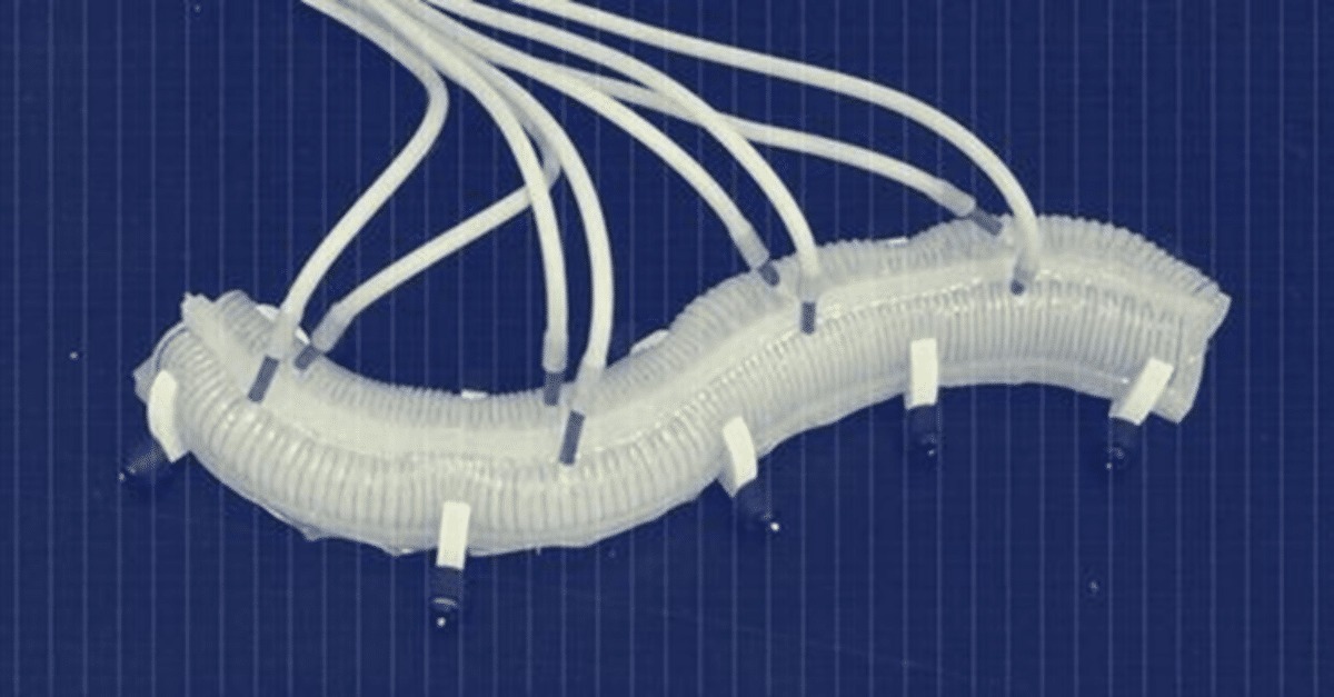 ¿Qué son Soft Robots? - FUTURA - ADD