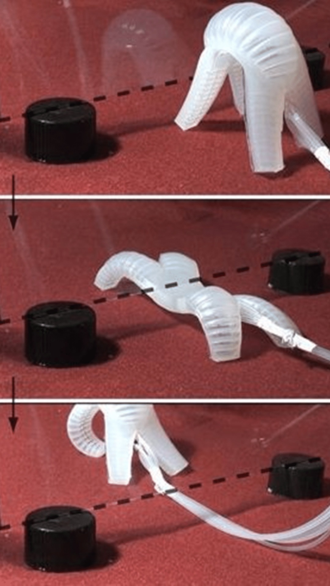 ¿Qué son Soft Robots? - FUTURA - ADD